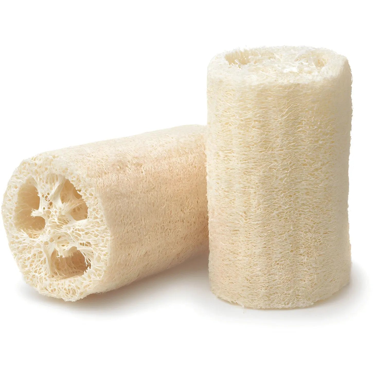 The Ultimate Guide to Loofahs - Which One is Best for You? - Manjeri
